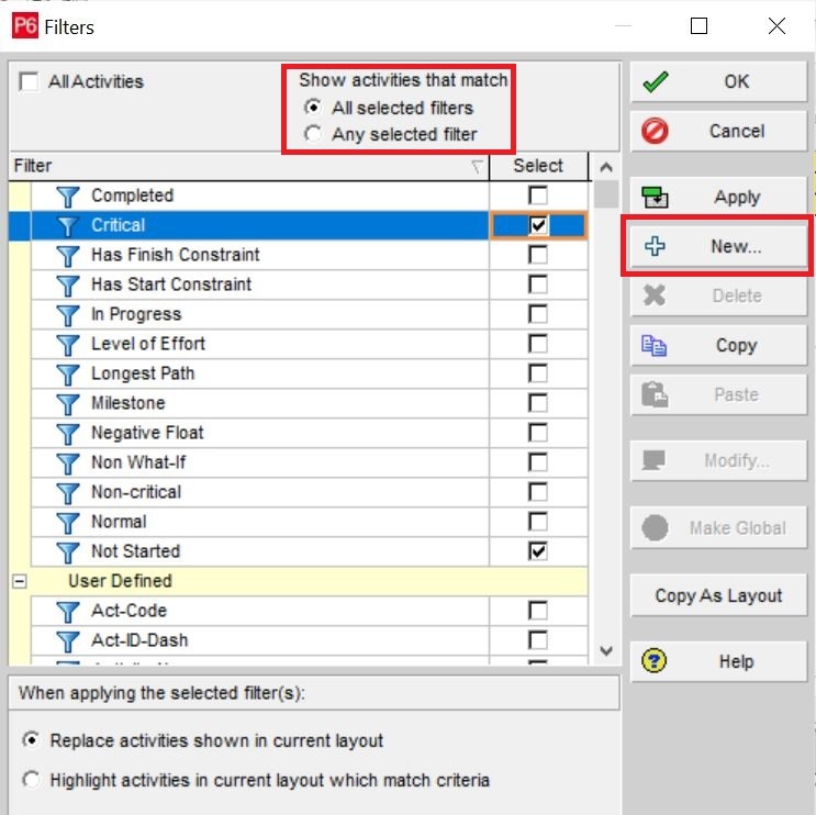 How to Filter Activities Data in Primavera - Project Management ...